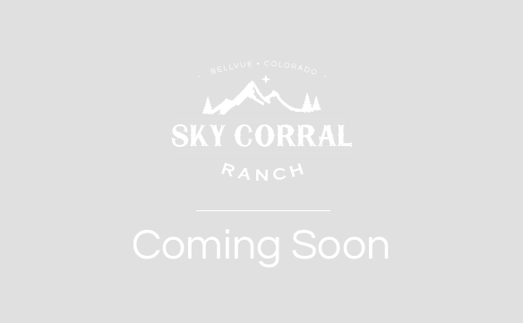 Whale Rock (PKA Handicap 2) - Sky Corral Ranch